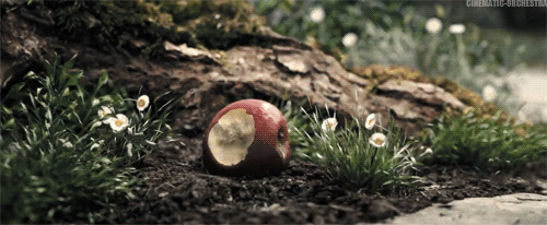 Decay snow white and the huntsman snow white GIF on GIFER - by Mikataxe