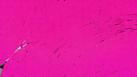 Bestie GIF on GIFER - by Joath