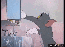 Gif De Ratón Comiendo Queso