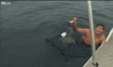 Top GIF on GIFER - by Ana