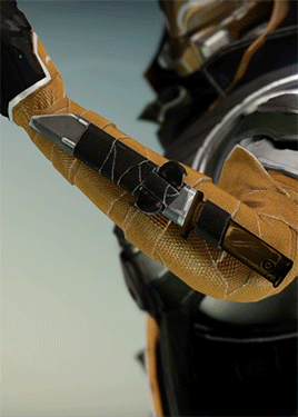 My destiny bungies destiny iron banner GIF en GIFER - de Bakazahn