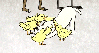 GIF ducks - animated GIF on GIFER - by Sailas