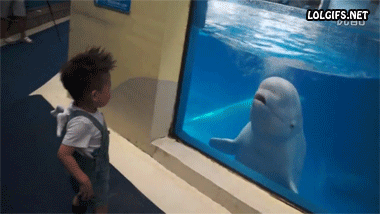 Troll children dolphin GIF on GIFER - by Ceregelv