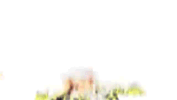 2ne1 cl cl for id magazine GIF on GIFER - by Kathrihuginn