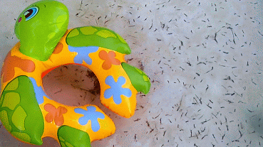 GIF 3d weird cool 3d world - animated GIF on GIFER - by Rainhammer