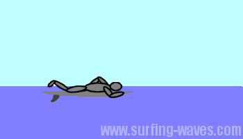 Diving GIF on GIFER - by Cegelv