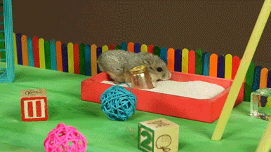 Hamster GIF on GIFER - by Doomeye