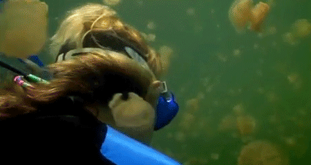 Victoria justice victoria justice hunt GIF on GIFER - by Zulkinris