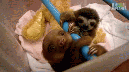 Horror movie terror horror GIF on GIFER - by Kazahn