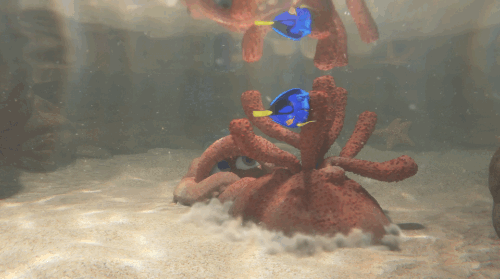 Dory disney pixar GIF on GIFER - by Vilmaran