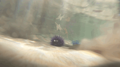 Finding nemo pixar GIF on GIFER - by Malabar