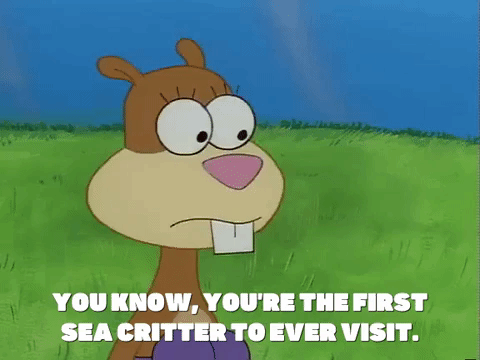 Spongebob squarepants season 1 GIF on GIFER - by Morlunrad