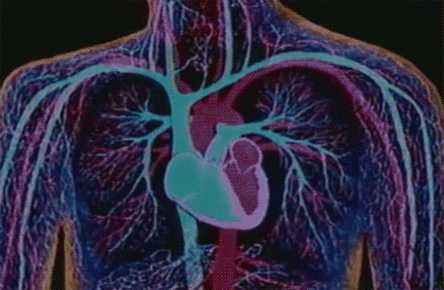 Biology GIF on GIFER - by Ygggra