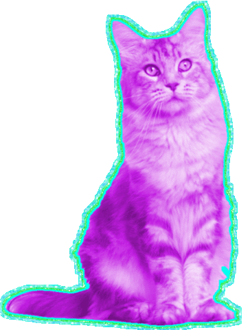 Transparent neon cat GIF on GIFER - by Kajishakar