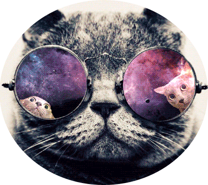 Svampebob Gif Sjokolade 100+] Svampebob Meme Wallpapers