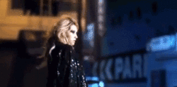 Gato Andando Gif Engracado
