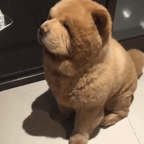 No Cell Phone Gif New Trending GIF Tagged Community Angry No