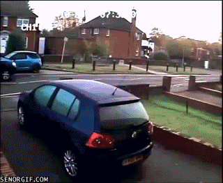 Drunk idiot car GIF on GIFER - by Kashicage