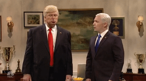 Gifs Con Purpurina Y 187 Cerdos