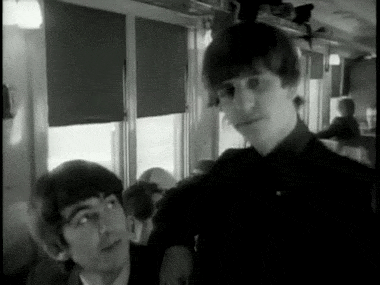 Zarry 2022 Gif