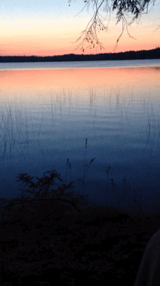 Lake sunrise earth porn GIF on GIFER - by Arinis