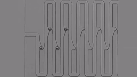 Science biology mit GIF on GIFER - by Grandis