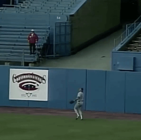 Mlb jose canseco baseball GIF on GIFER - by Zular