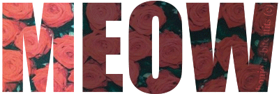 Code geass pizza cc GIF on GIFER - by Malanim