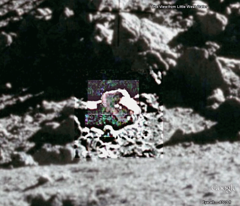 GIF lizard - animated GIF on GIFER - by Zolotaur