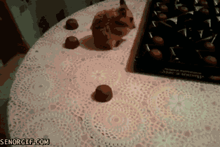 Mouse micemouse chocolate GIF on GIFER - by Shalindis