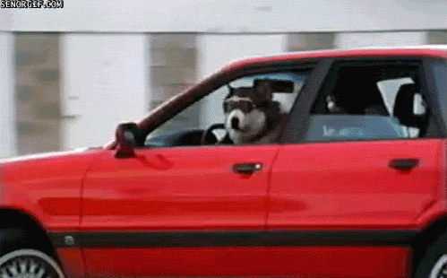 Driving get in the car GIF on GIFER - by Perilv