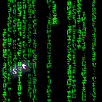 GIF the matrix - animated GIF on GIFER - by Nilarius