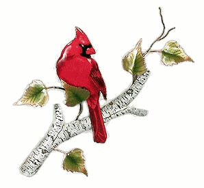 Cardinals GIF on GIFER - by Munadar