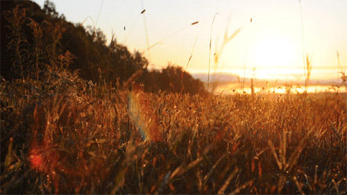 Sun love cute GIF on GIFER - by Kathrithis