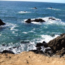 Beach ocean windy GIF on GIFER - by Anayalak