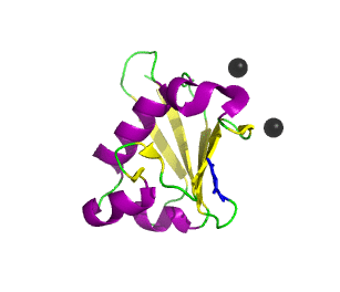 Structural methods biologia GIF en GIFER - de Fenrile