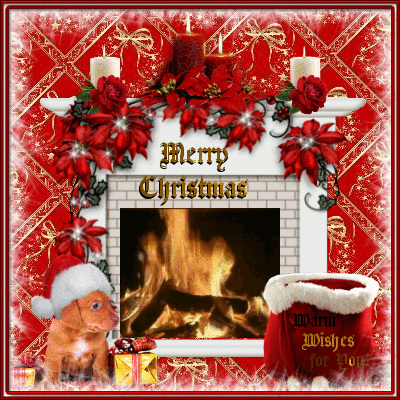 Waterfall shrubbery pool of water GIF on GIFER - by Kigasar