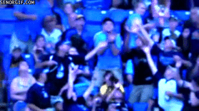 Sports fail baseball GIF on GIFER - by Gardagal
