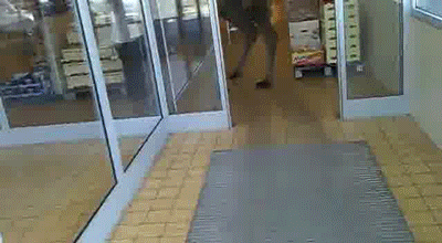 GIF funny animals wtf - animated GIF on GIFER - by Ghohuginn