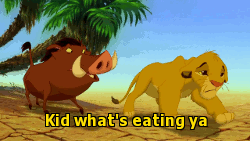 GIF the lion king timon pumba - animated GIF on GIFER - by Cordred