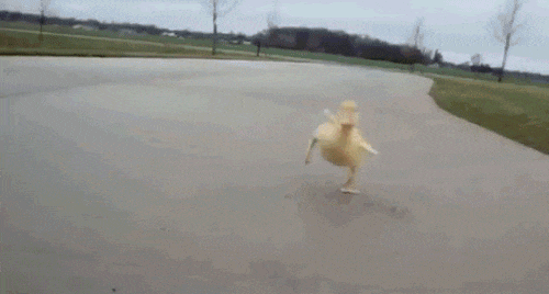 Graduation marching band season 9 GIF on GIFER - by Felolas