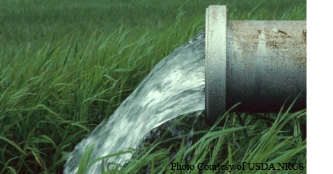 Conservation GIF on GIFER - by Tojagore