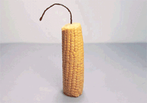 Corn popcorn photography GIF on GIFER - by Gardakinos