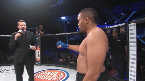 Sports fight mma GIF on GIFER - by Thundersinger