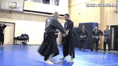 Taijutsu mma martial arts GIF on GIFER - by Zulkibei