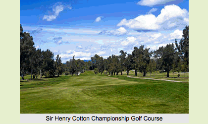 Golf GIF on GIFER - by Mogis