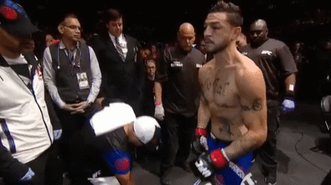 Ufc 206 cub swanson ufc GIF en GIFER - de Taulkree