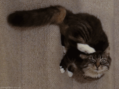 Itchy itch GIF on GIFER - by Mazurr