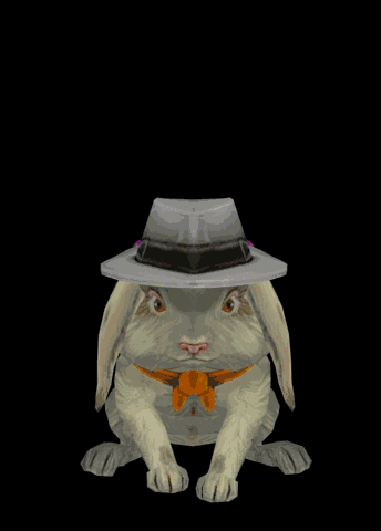 Rabbit GIF on GIFER - by Kegami