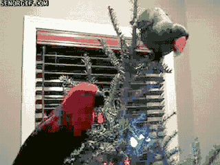 Christmas animals GIF on GIFER - by Alsandis